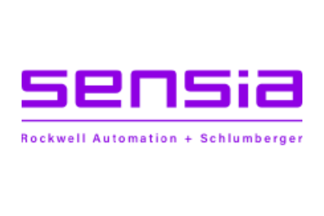 Instrumentation Solutions - PETRO-Q